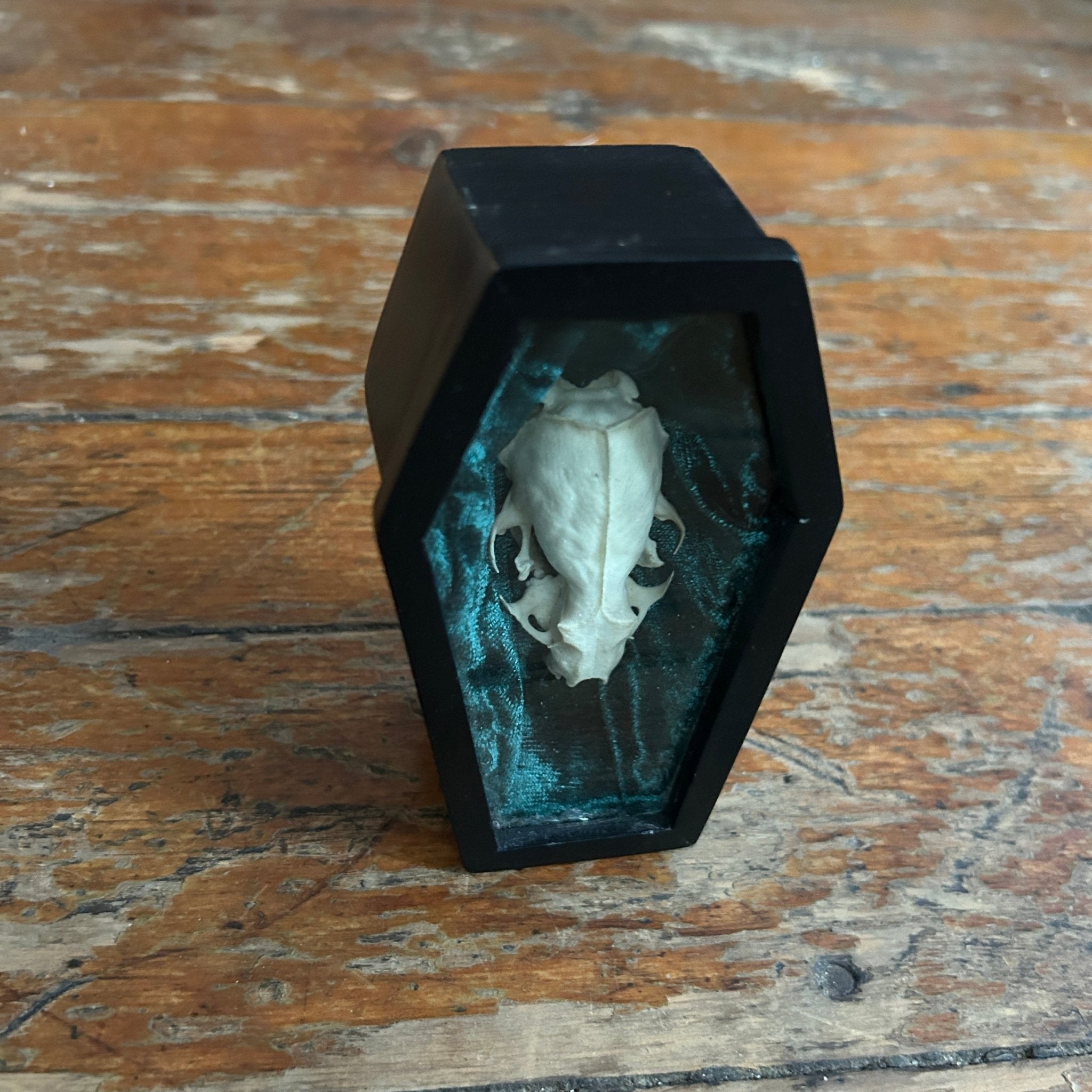 Apokrypha.co | Welcome to the Witch House